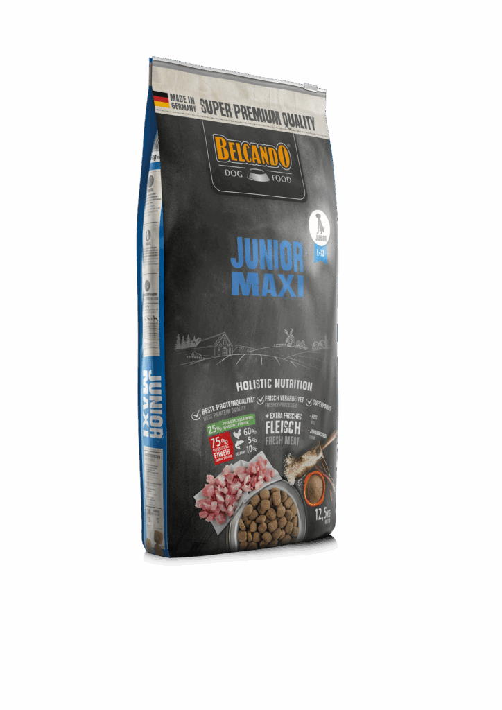 BELCANDO Junior Maxi - Zooandpet